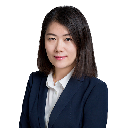 Hong FENG_Professionals_Hylands Law Firm