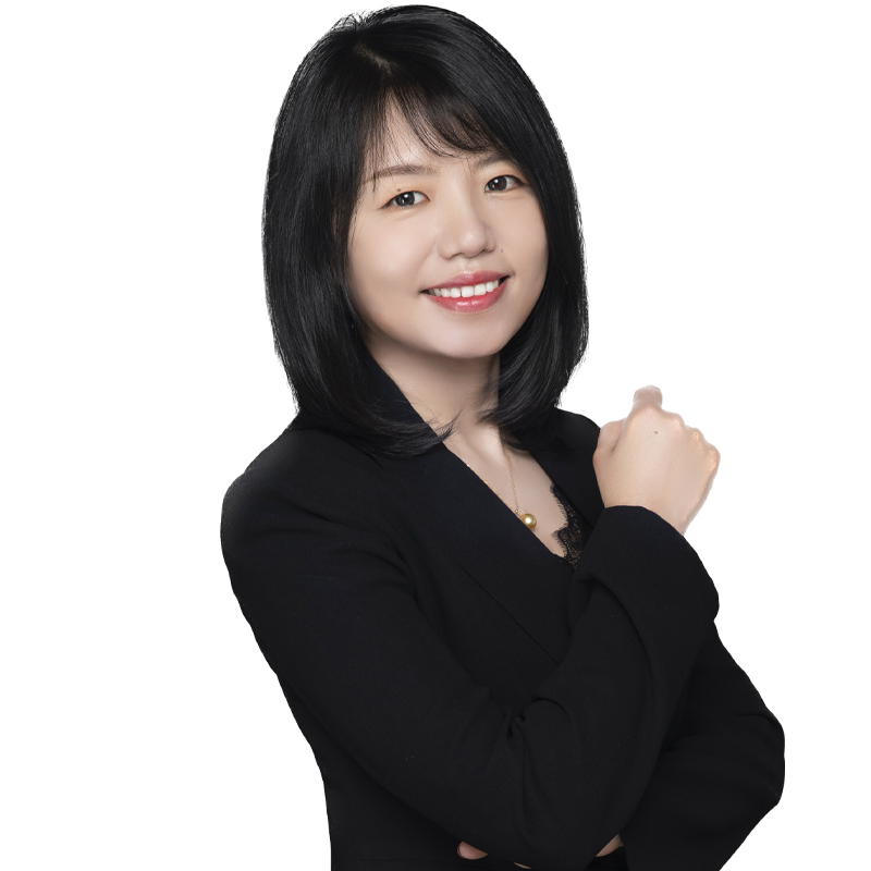 Li LI_Professionals_Hylands Law Firm