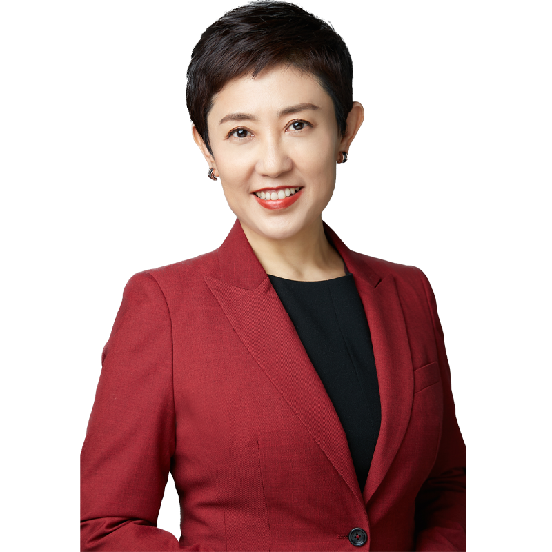Dahui YUN _Professionals_Hylands Law Firm